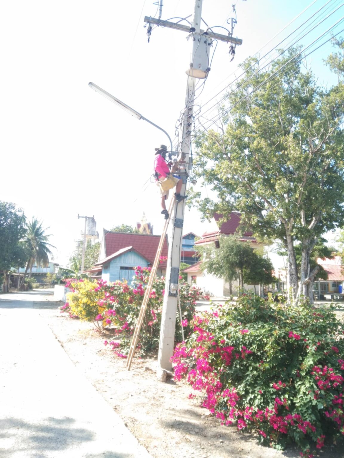 OSS 5/2567 เรื่อง ขอซ่อมแซมไฟฟ้าสาธารณะจากนายบุญส่ง อนุภาพ – องค์การบริหารส่วนตำบลวังจั่น